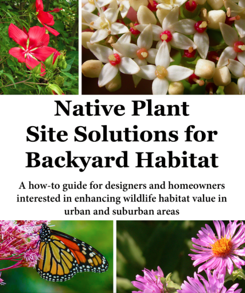 Ecological Gardening - Rhode Island Wild Plant Society