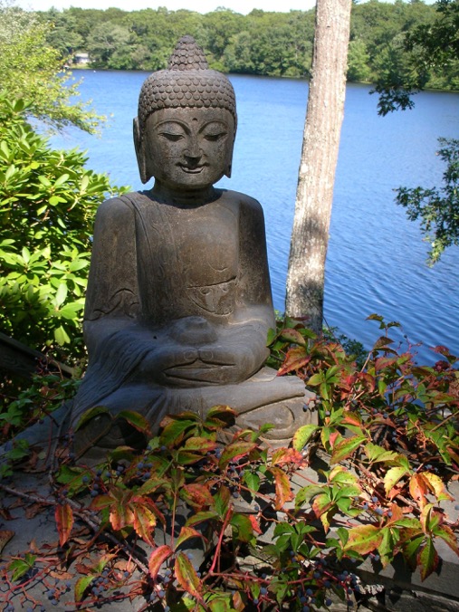 Asher Garden - Rhode Island Wild Plant Society