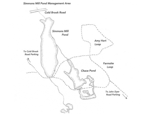 Simmons Mill Pond Management Area, Little Compton, RI - Rhode Island ...