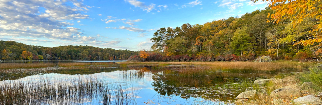 Self-Guided Plant and Nature Walks - Rhode Island Wild Plant Society